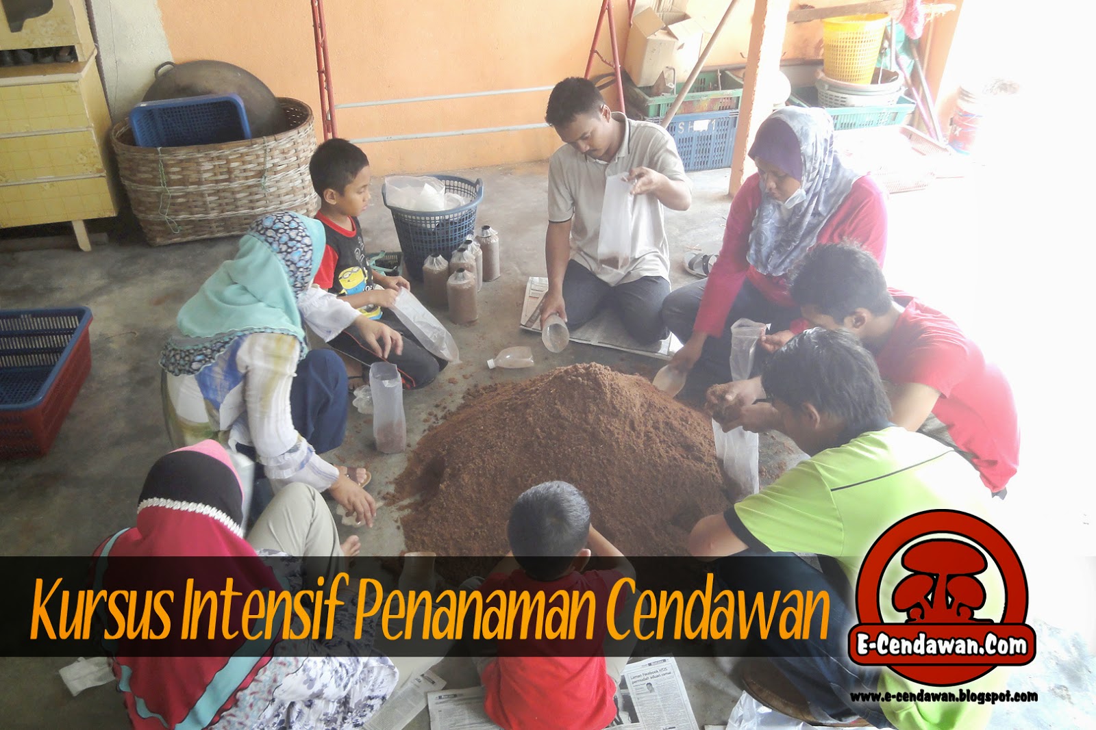 PROJEK TANAMAN CENDAWAN TIRAM MALAYSIA : e-cendawan.com: 2014