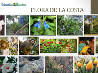 FAUNA Y FLORA DEL PERÚ