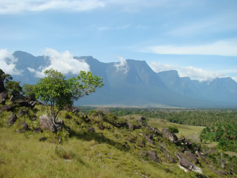 Cerro Marahuaca - Alchetron, The Free Social Encyclopedia