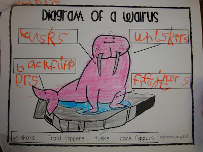 Learning Adventures: Research on Walruses