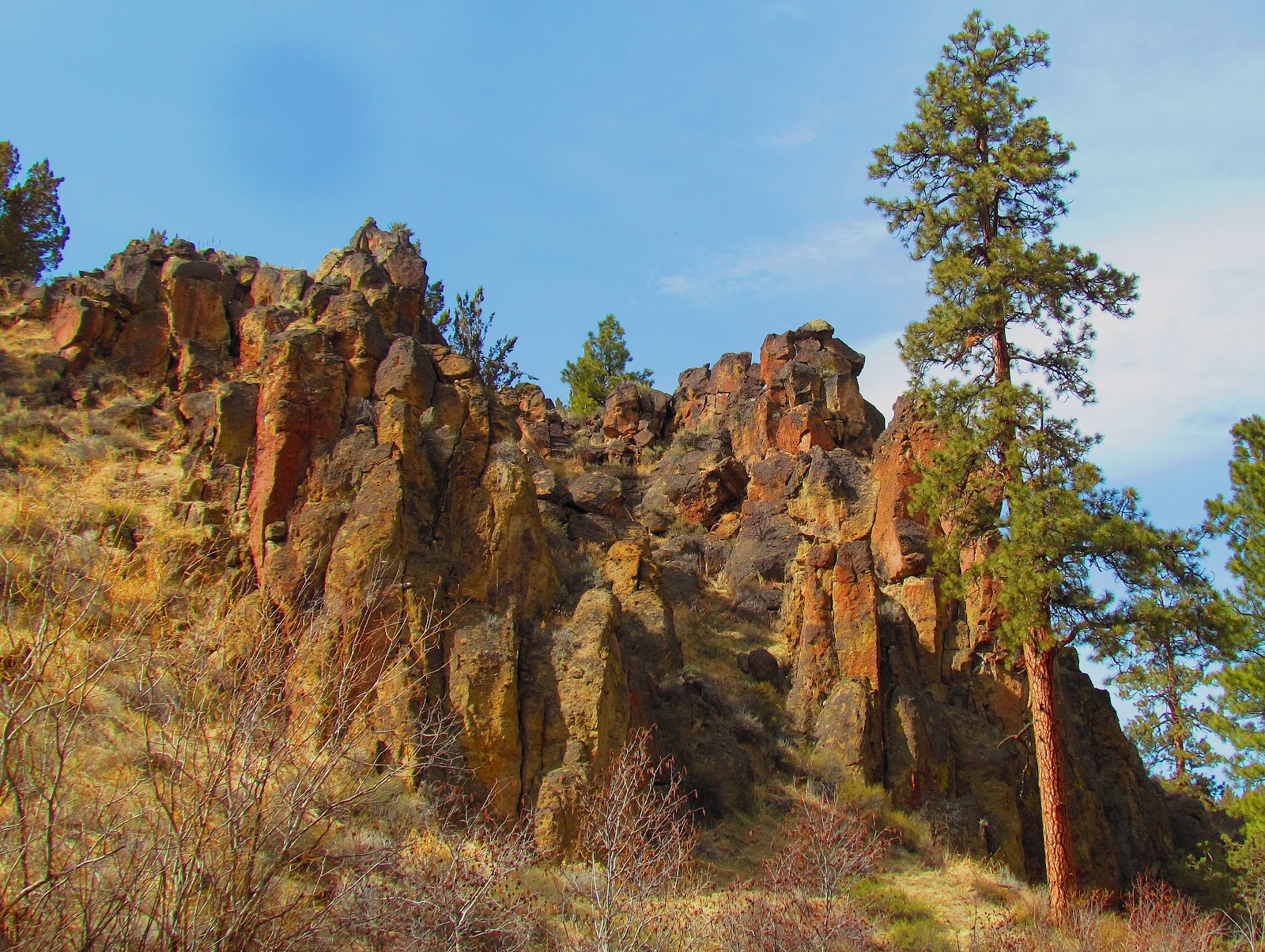 Adventures of a Vagabond Volunteer: A Visit to Malheur National Forest