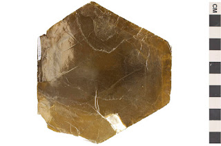 Ciências Naturais 7º Ano