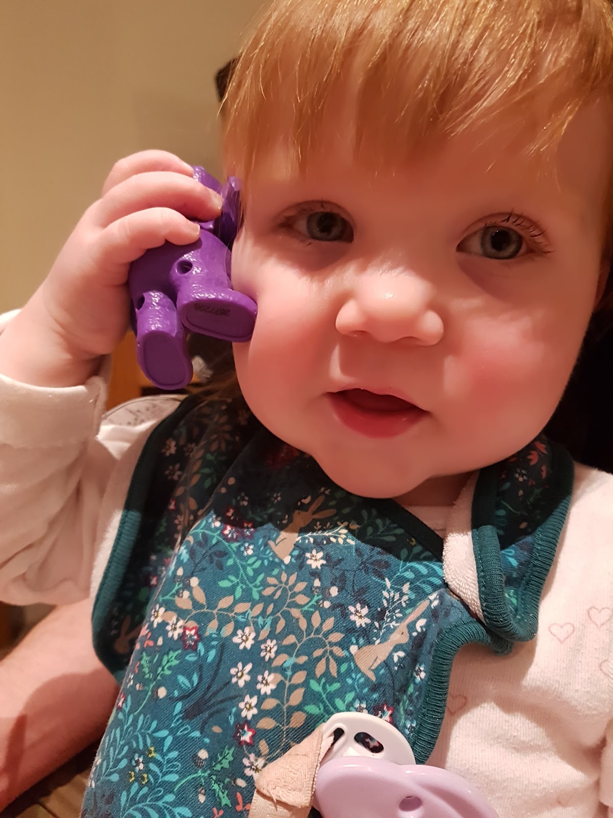 Review : Teletubbies twist and chime and Teletubbies talking soft toys ...