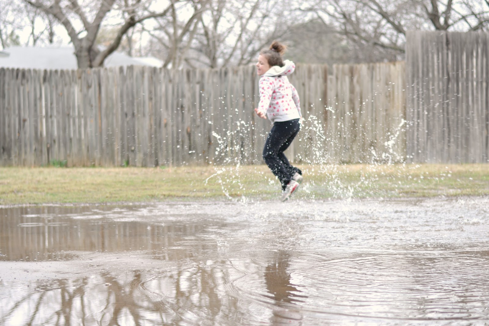 3 birds photos: Splish Splash - a little fun in the puddles!