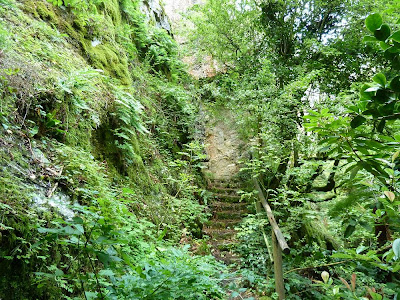 The Faery Folklorist: Pixies Hole at Chudleigh Rocks, Devon