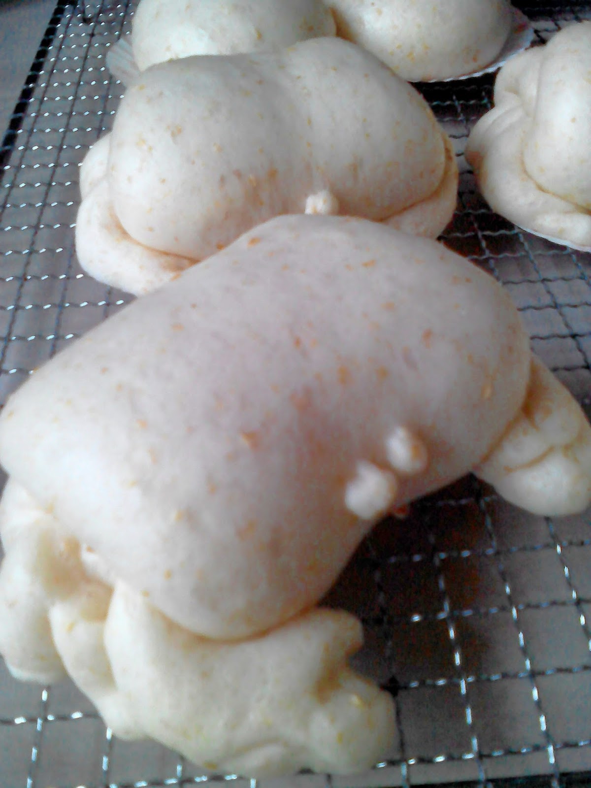 Jane Yee's food & life diaries: cute animal steamed buns for kids ...