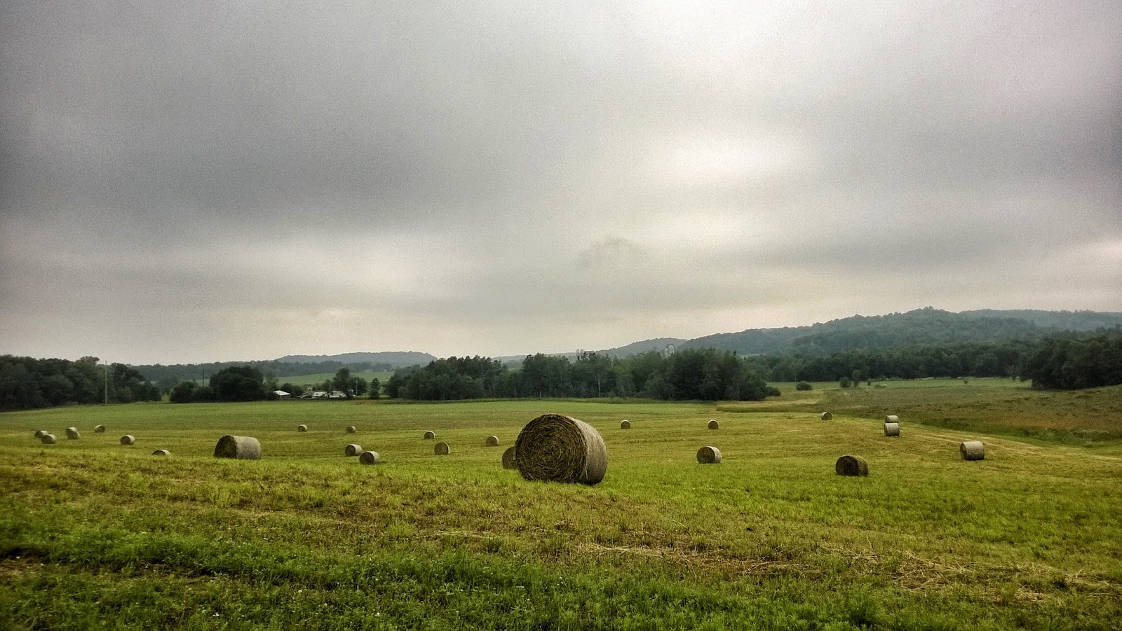 Use My Camera: Rural Wisconsin