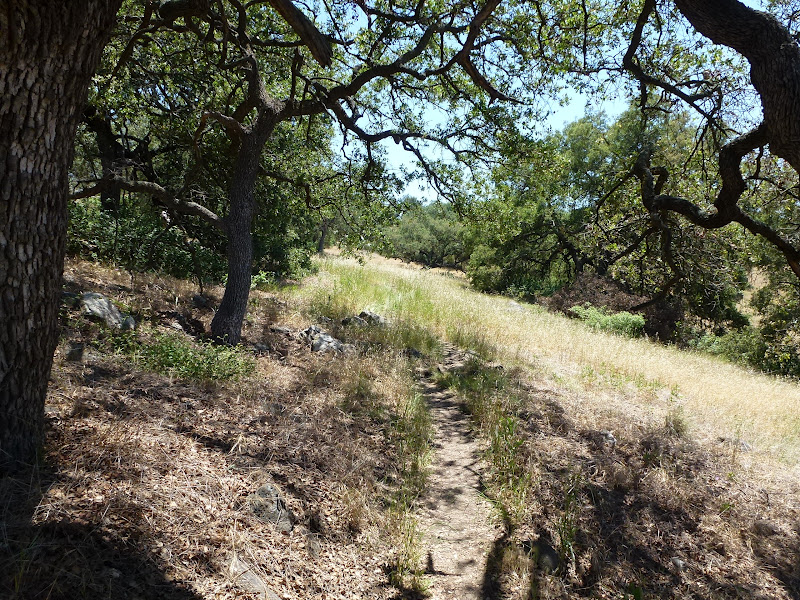 Brian and Ashley's Hiking Blog!: Santa Rosa Plateau (Vernal Pool and ...