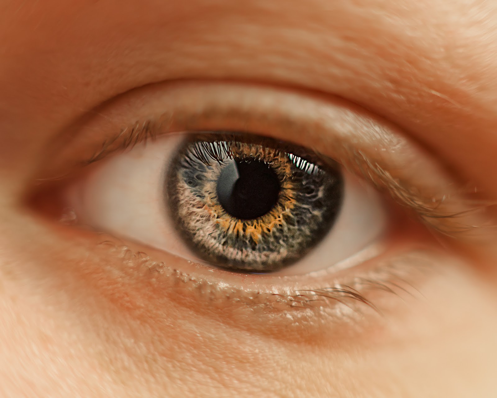 Life is a "trip"....: It's all in the eys