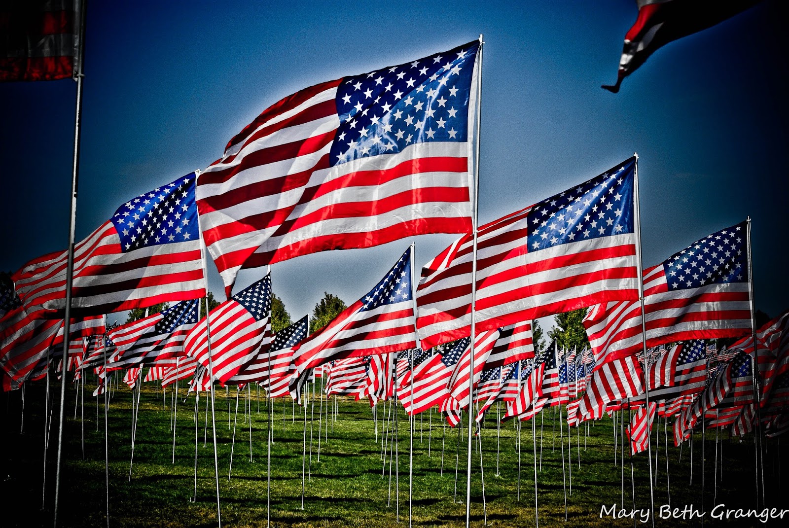 Review of Patriotic Photographs