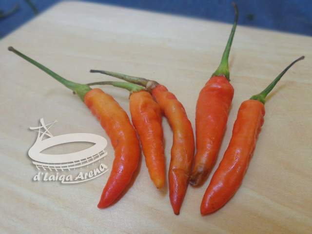 d'Laiqa Arena: Mengenal Bumbu Dapur: Cabe