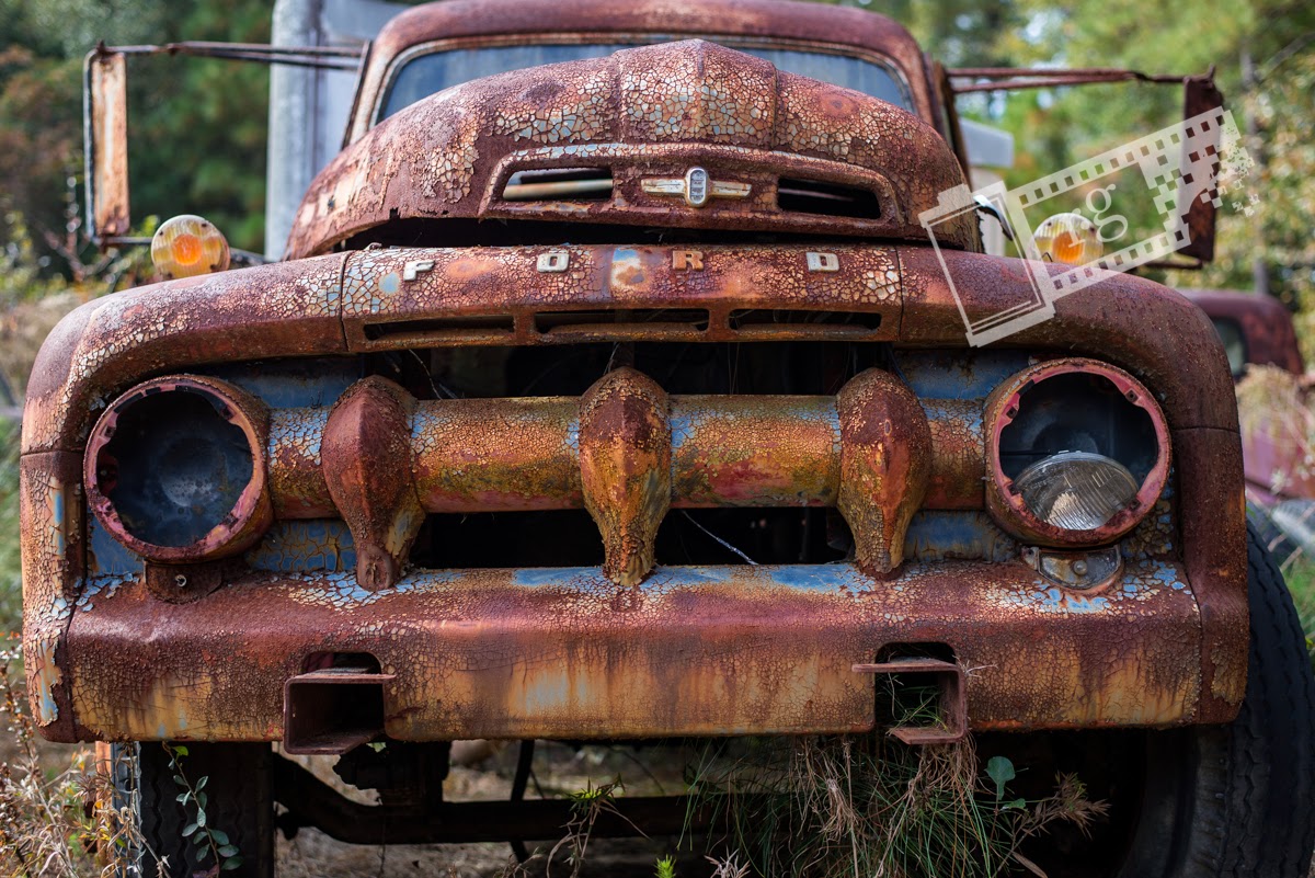 Robin Garner Photography