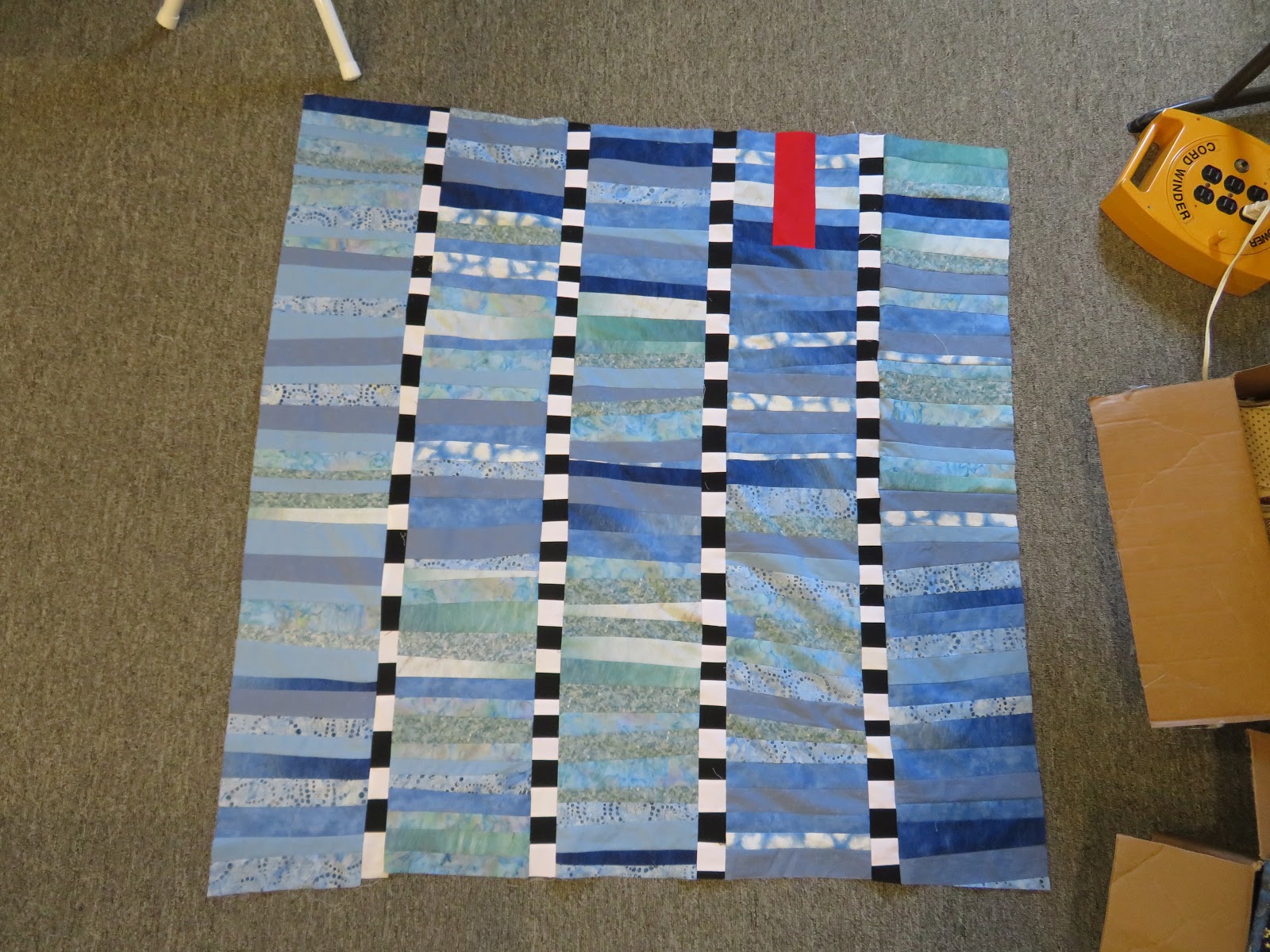 Quilts and Dogs: Time for a Swim in the 100 Meter Pool