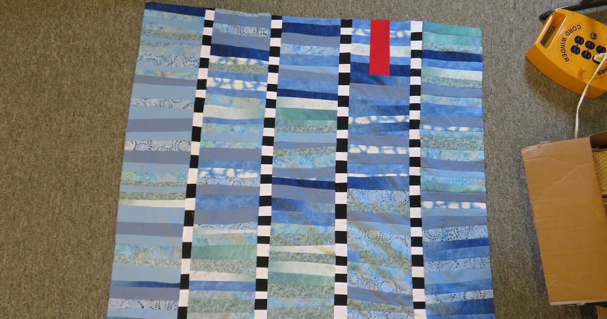 Quilts and Dogs: Time for a Swim in the 100 Meter Pool