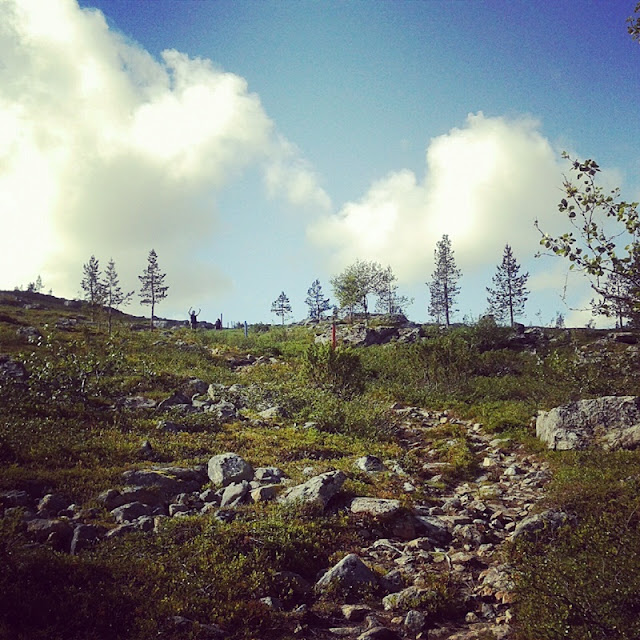 MicroCosmos: insta Finland