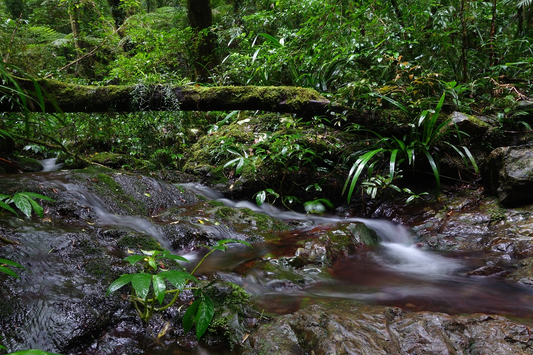 Conqueror of the Mountains of Australia in General and South East ...