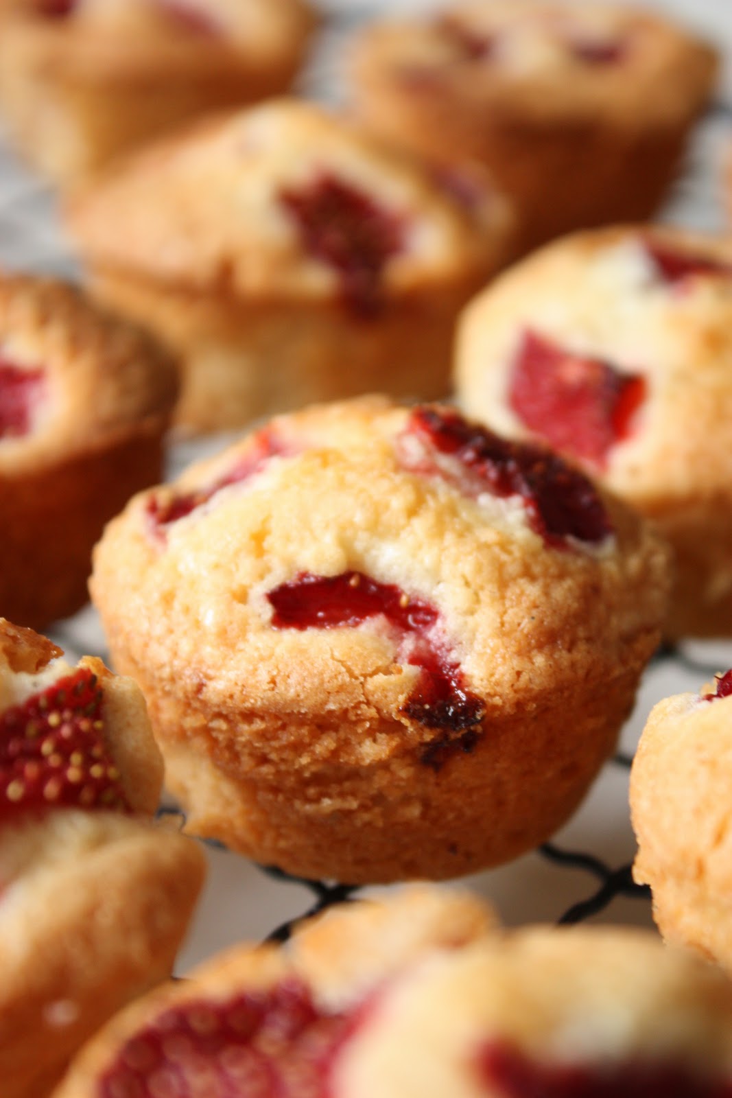 megann's kitchen photography: :: Friendly Friands