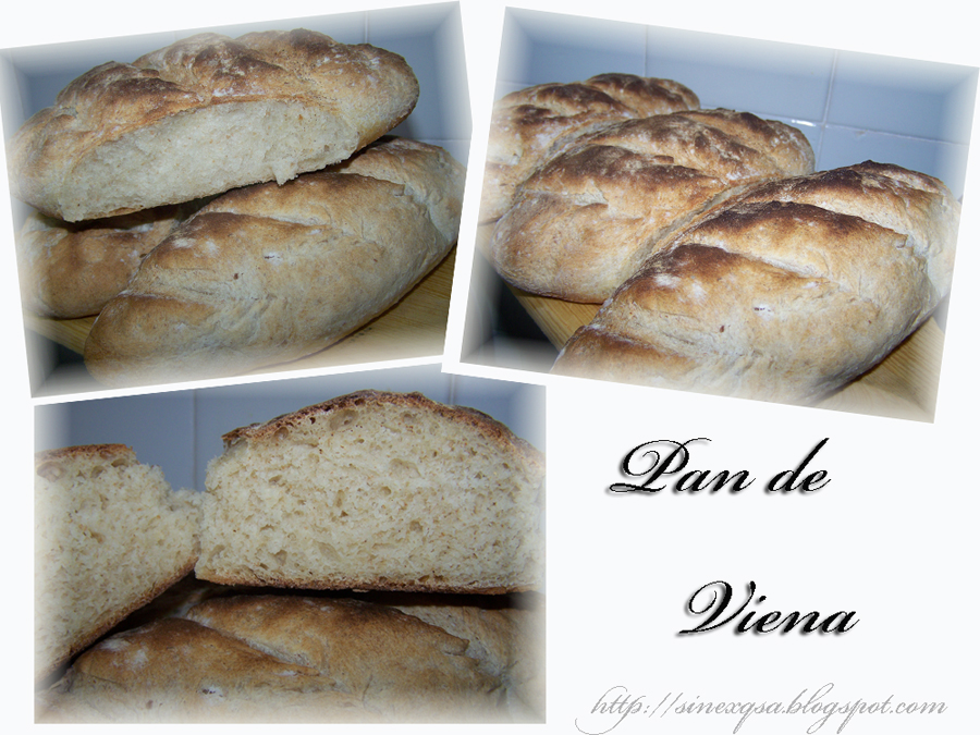 Sinexqsa: Pan de Viena
