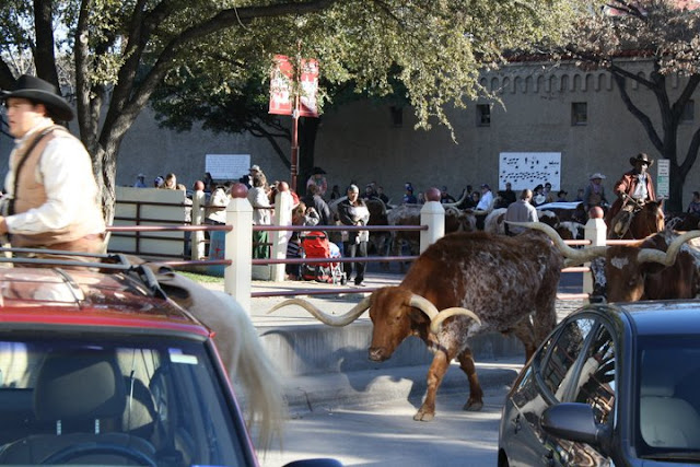 Visit Forth Worth for a real “Texas” experience | Travel Daily Magazine