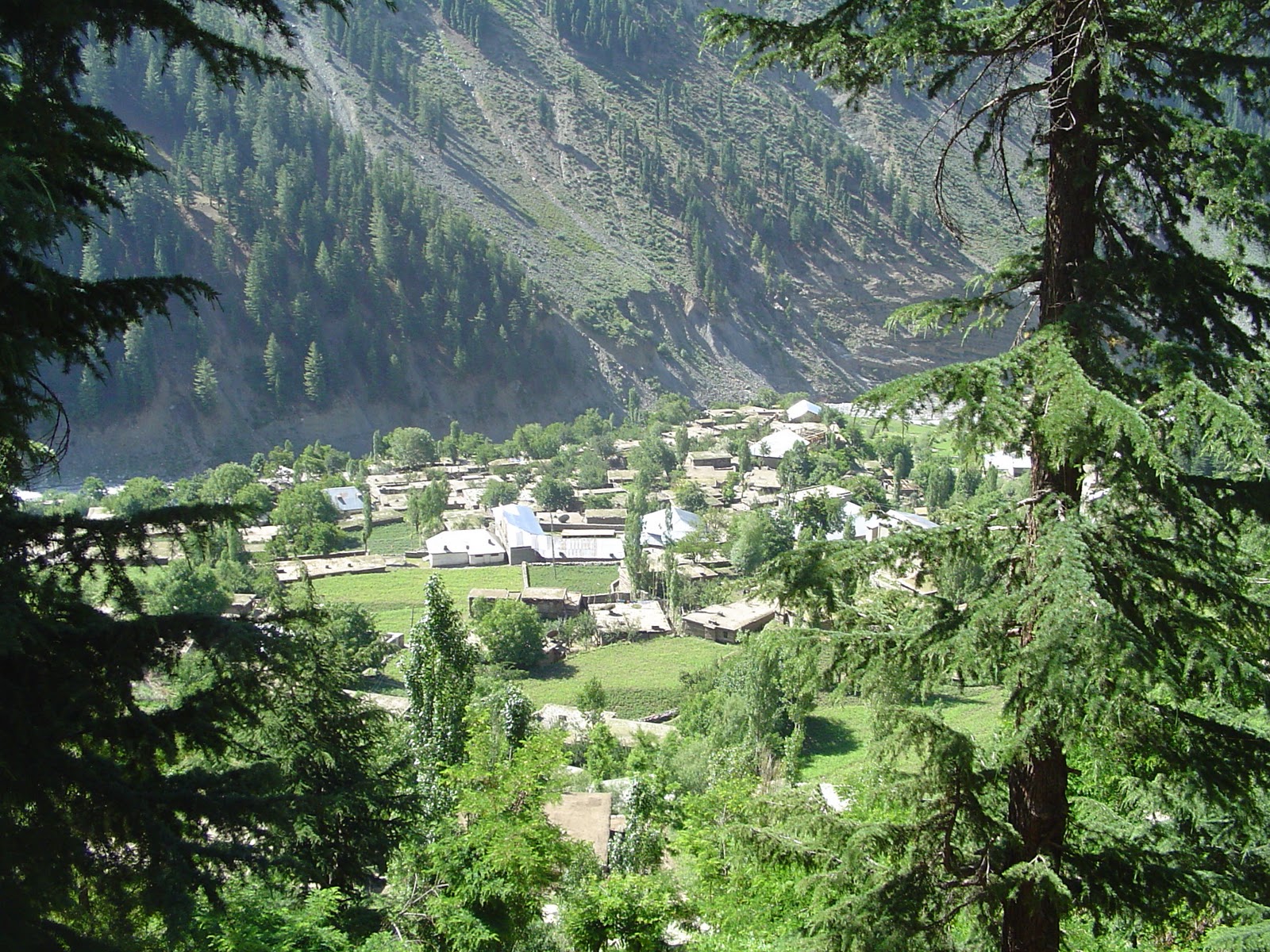 MADAK LASHT