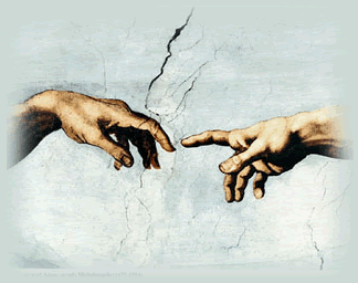 Caracteristicas De Los Sistemas: La Teleologia