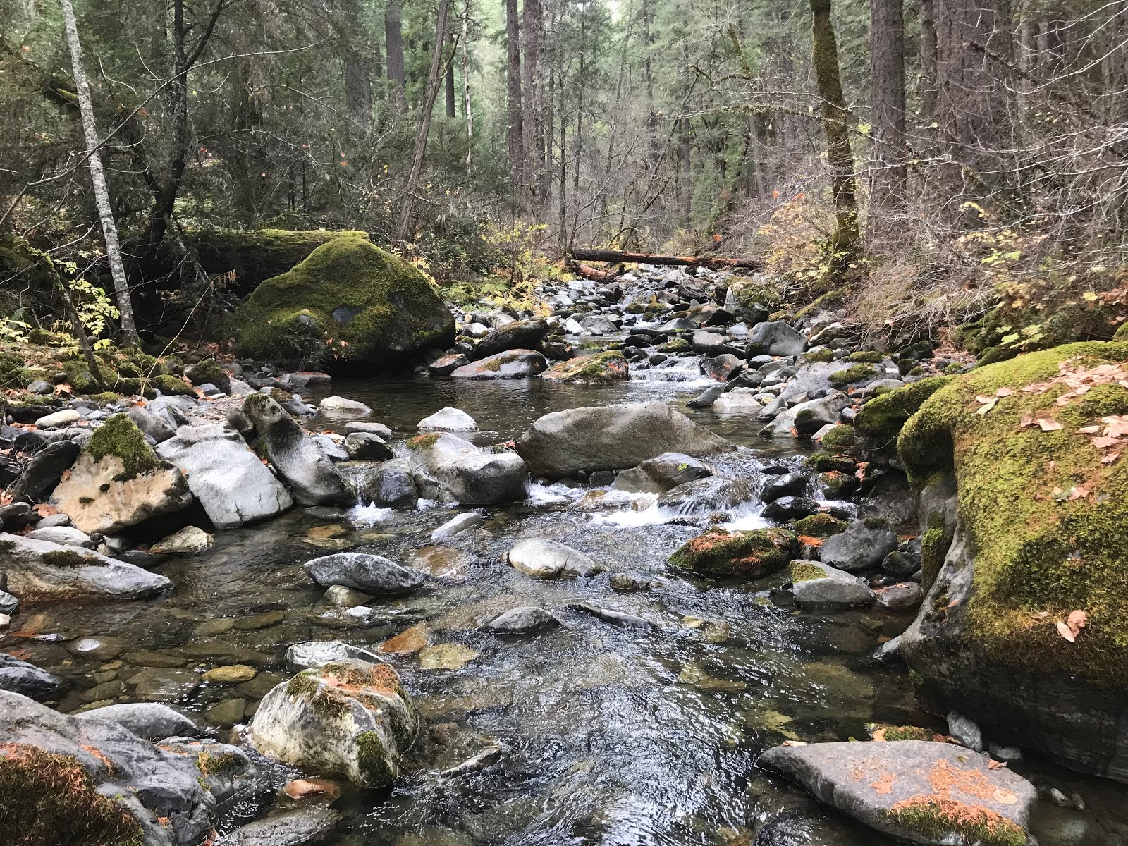 The Siskiyou Crest : The Middle Fork of the Applegate River & The Abney ...