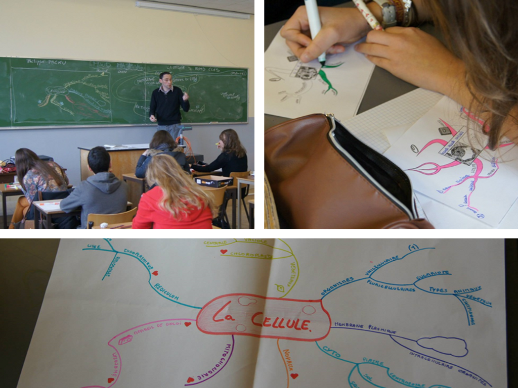 Dessine-moi une idée asbl - Apprendre avec le Mind Mapping à tout âge ...