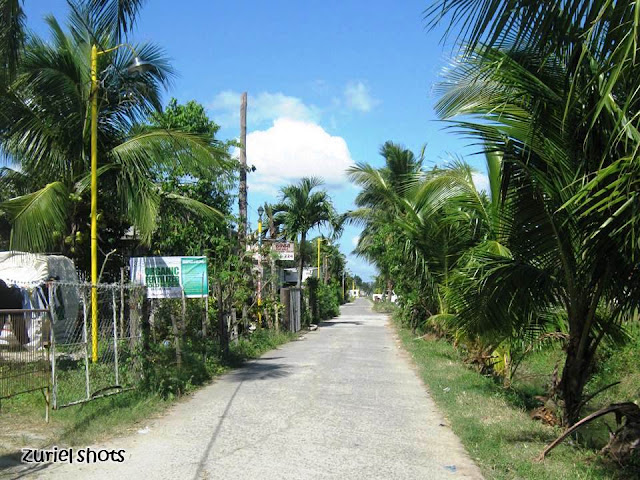 Zuriel Shots: Barangay Dalig