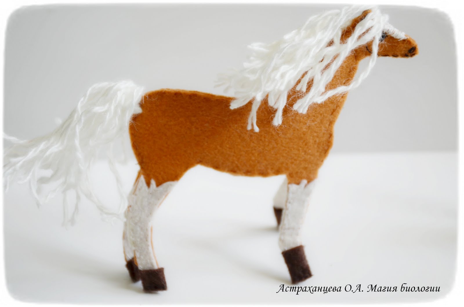 Магия Биологии: ЗАЧЕМ ЛОШАДИ КОПЫТА?