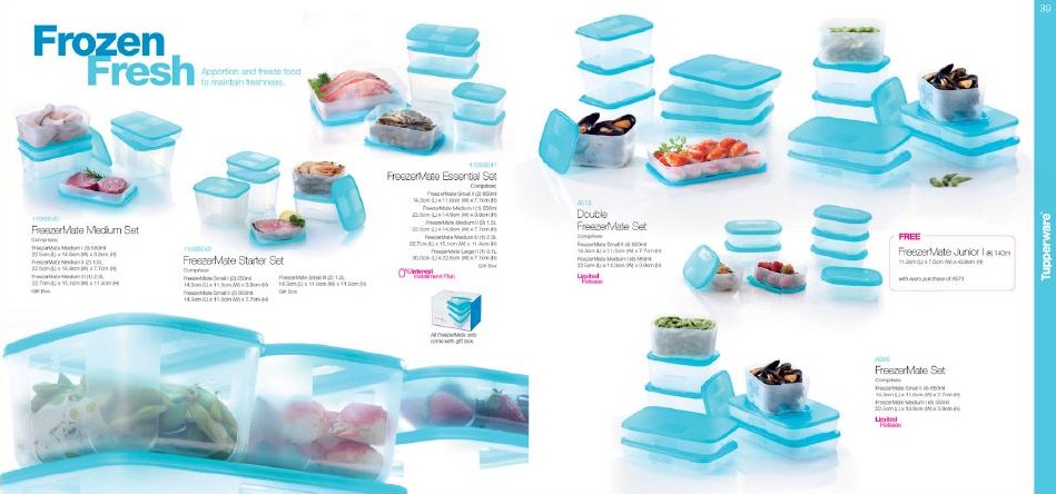 madam tupperware: FROZEN FRESH
