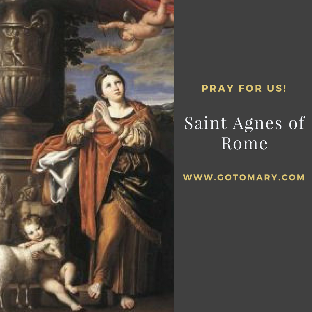 Saint Agnes of Rome - Go to Mary Blog