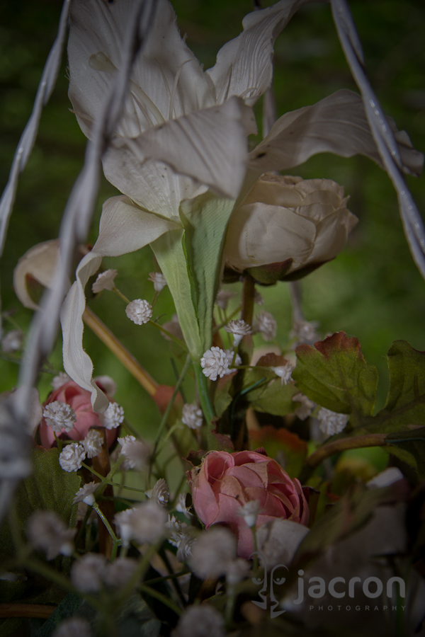 Jacron Photography.: Paul & Yvette, 12 December 2012. Whispering Tree ...