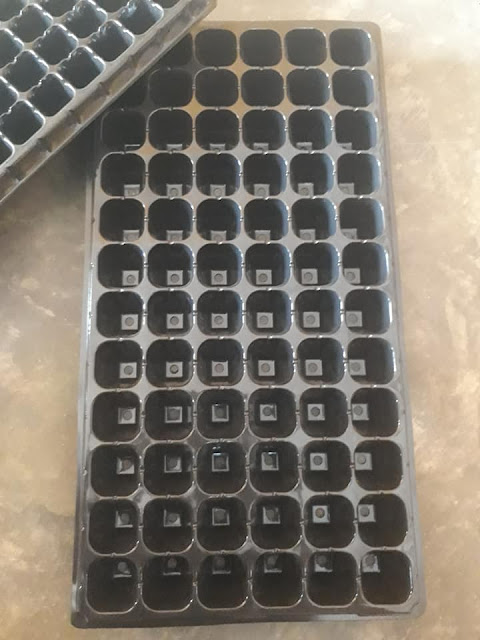 Jual Peralatan dan Kebutuhan Hidroponik Di Medan | TALITAKUM INDONESIA