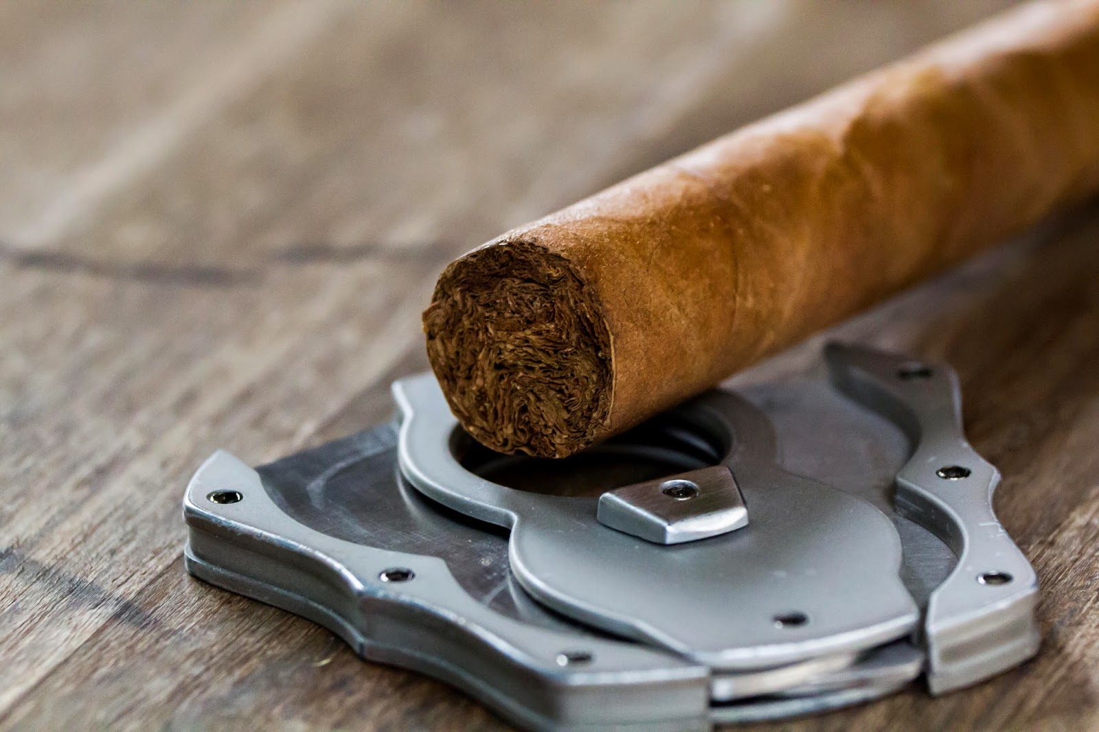 Slovenec s stilom: Kako kaditi cigare?