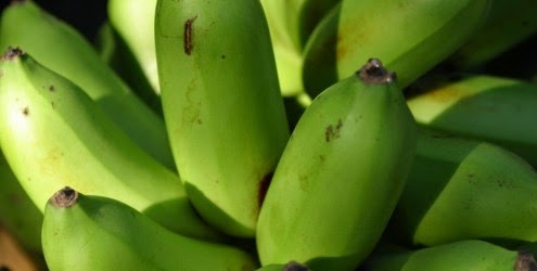ALIMENTE-SE COM SABEDORIA!: PROPRIEDADES FUNCIONAIS DA BANANA VERDE.