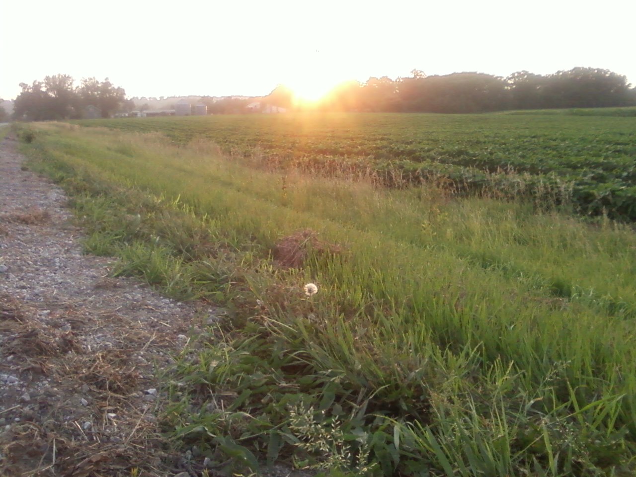 Beam The Light Be The Change: A Healing Journey Part Four: Pictorial