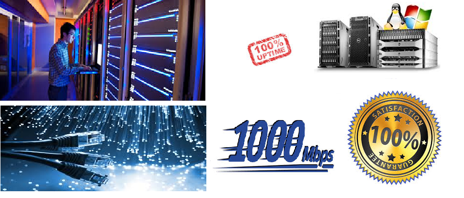 MSK System ( Dedicated Hosting Solution with 100% up time): Offer ...