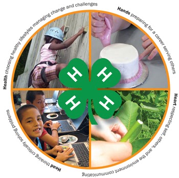 Watauga County 4-H: 4-H Summer Activities
