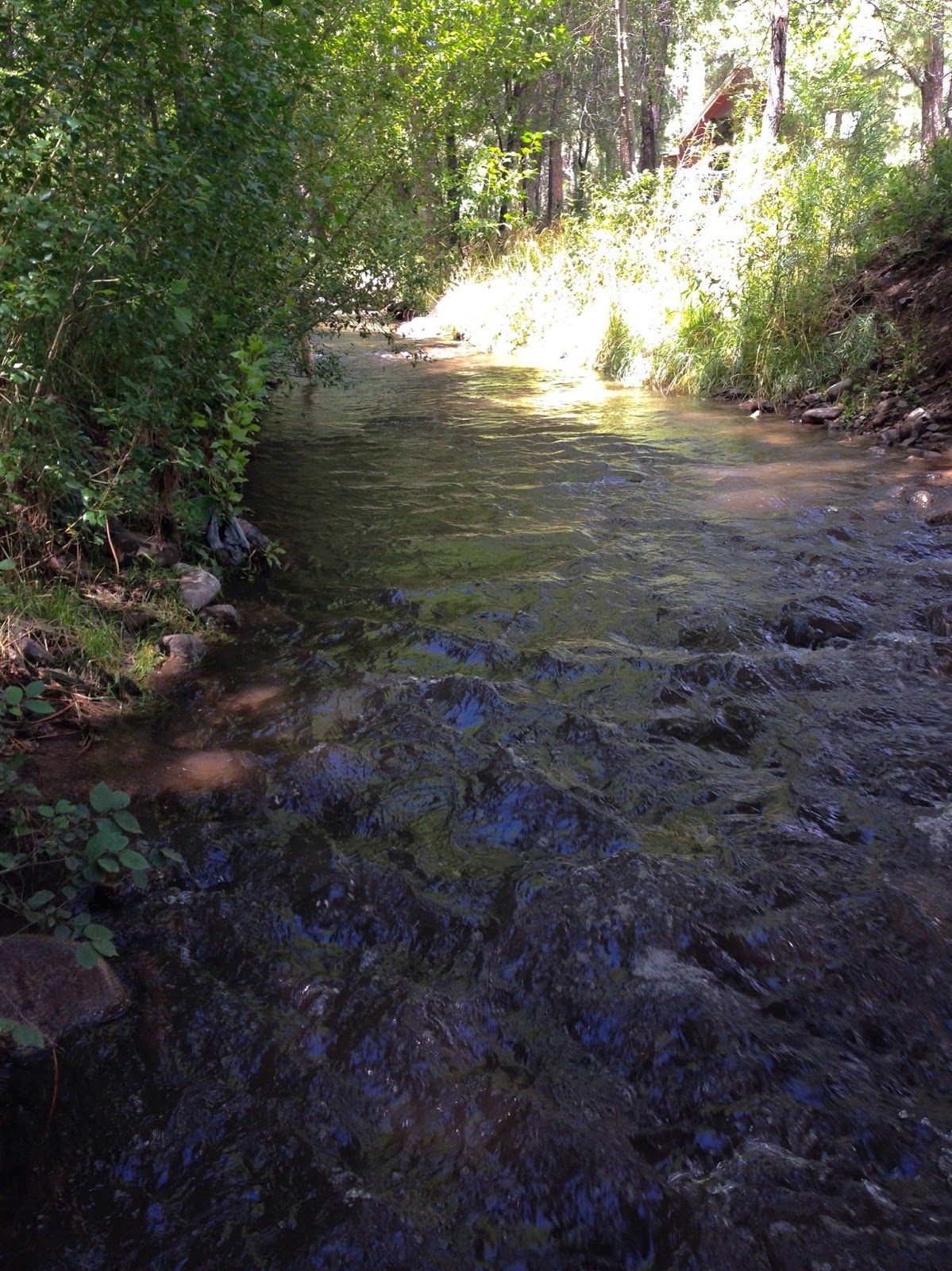 Southern New Mexico Explorer: Rio Ruidoso