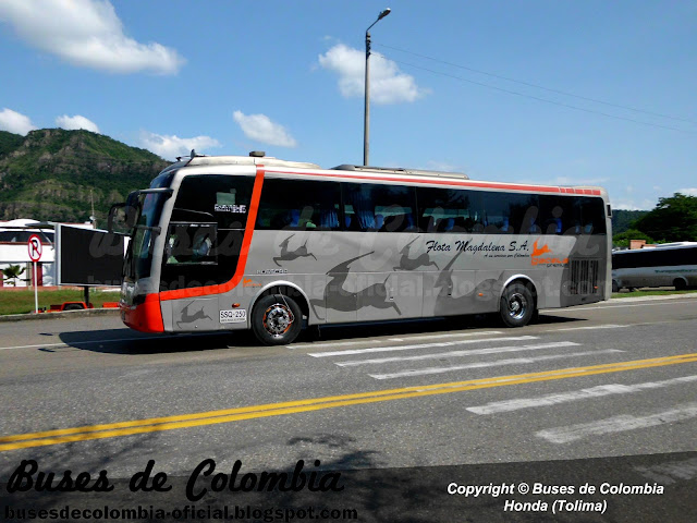 Buses de Colombia - Oficial