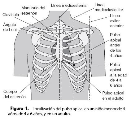 Teaching Nursing: Pulso: Técnica de auscultación