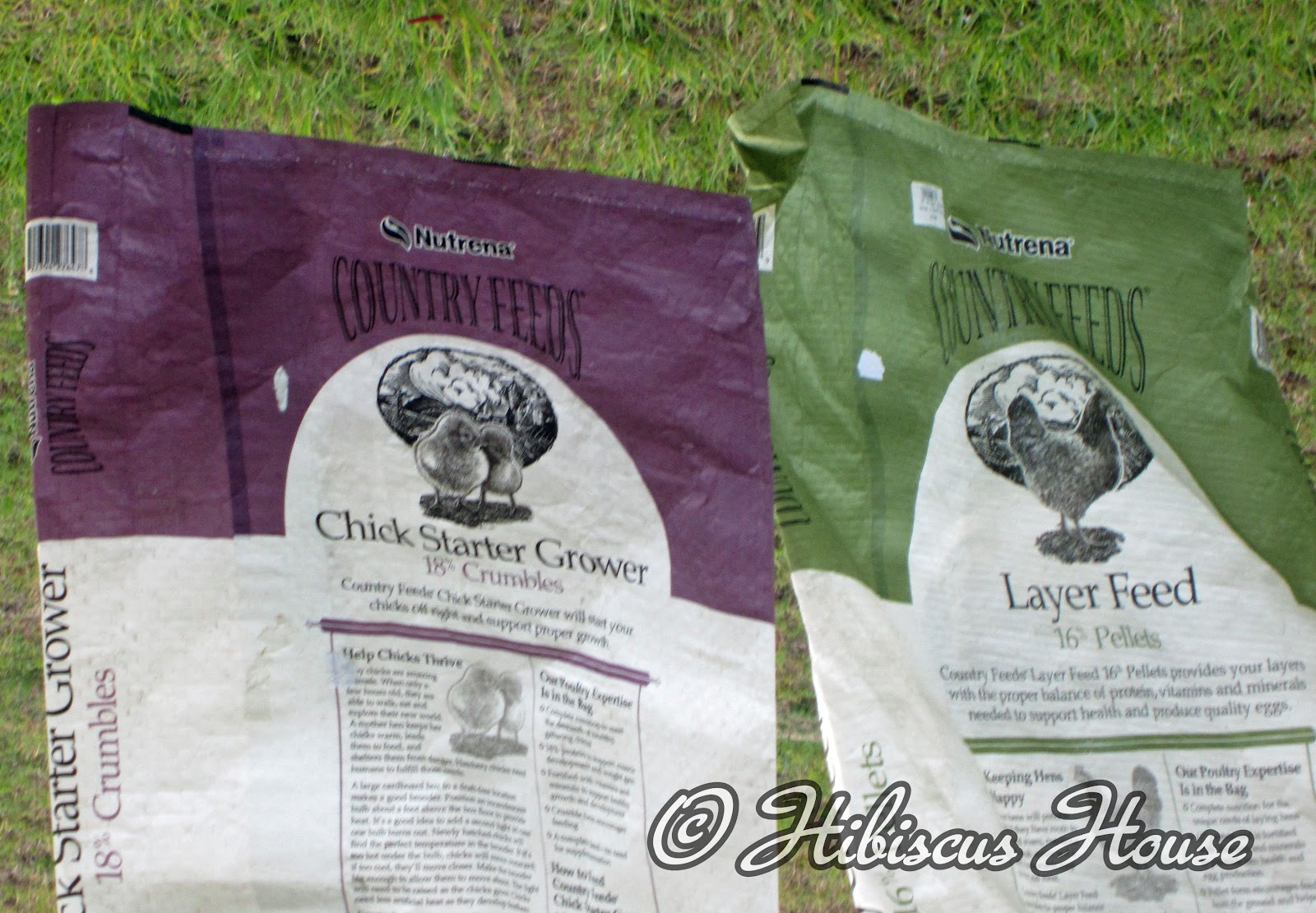 dolly's designs: Chicken Feed Sacks Blowin In The Wind