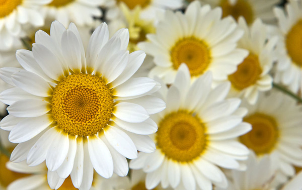 Все про природу