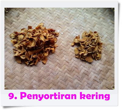 PembuatanSimplisiaTemulawak: Simplisia Temulawak