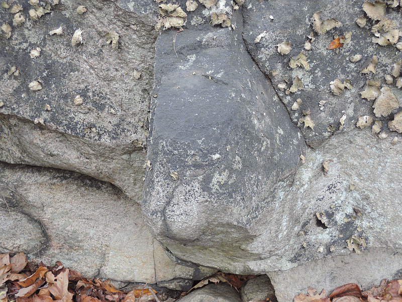 Turtle Rock in Warwick ~ Hudson Valley Geologist