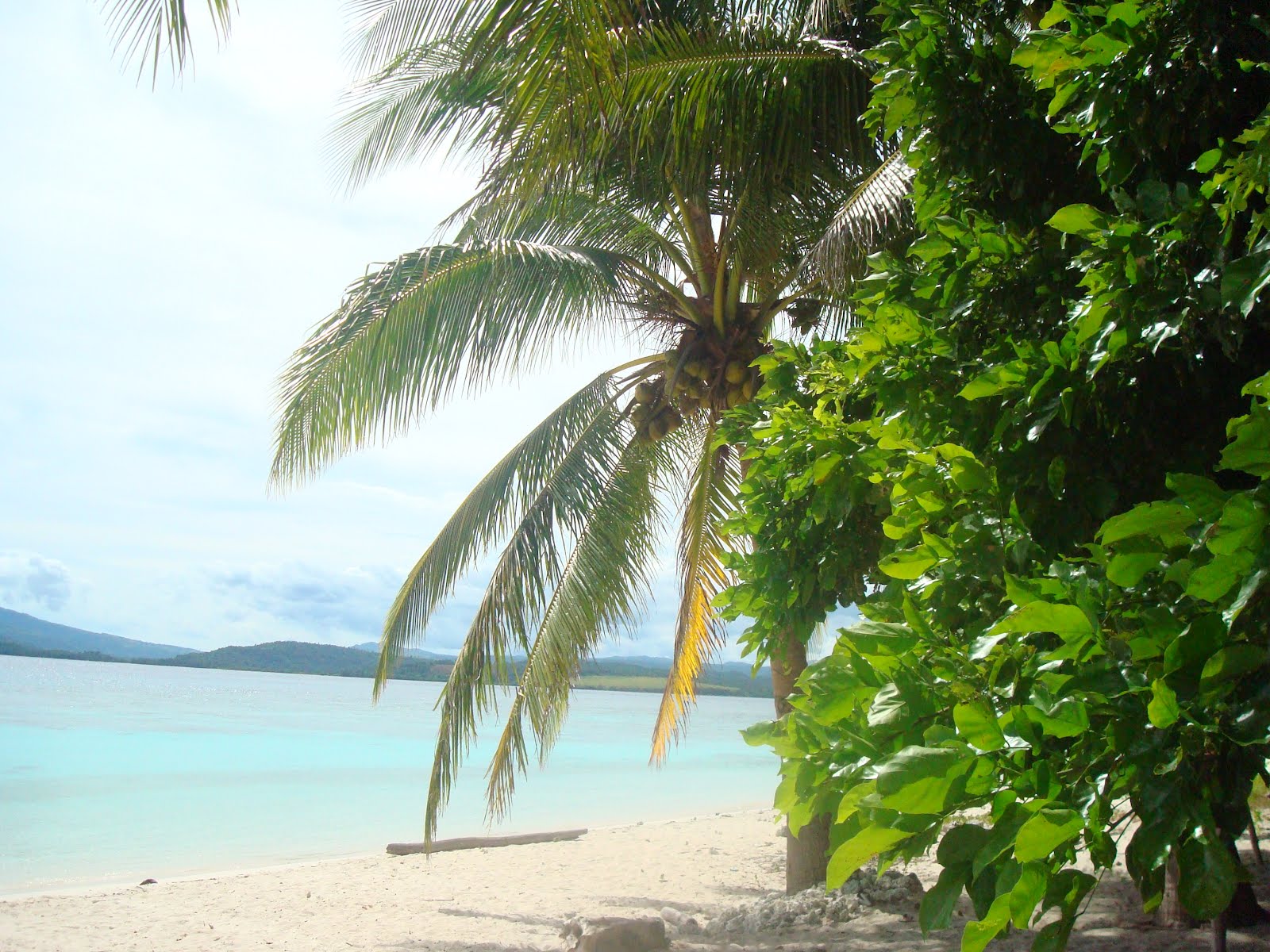 Adventures of A Vagabond: Tikling Island and its Pinkish White Sand ...