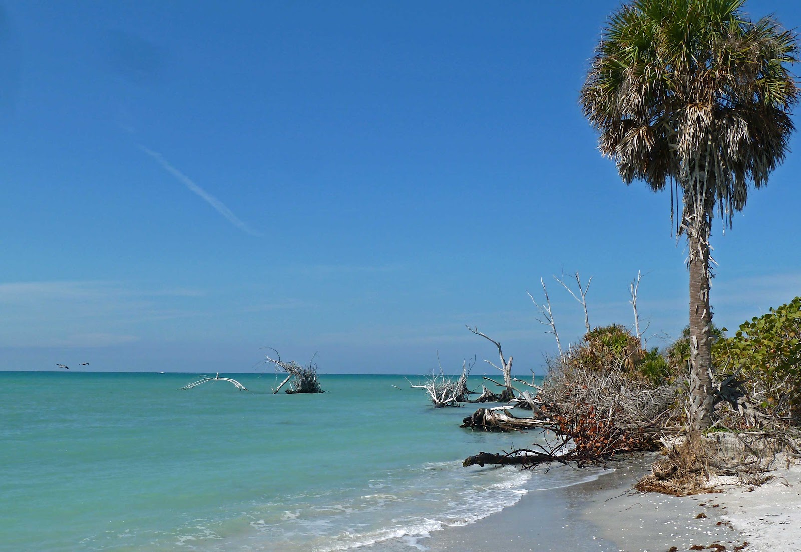 Last Dance: West Florida State Parks