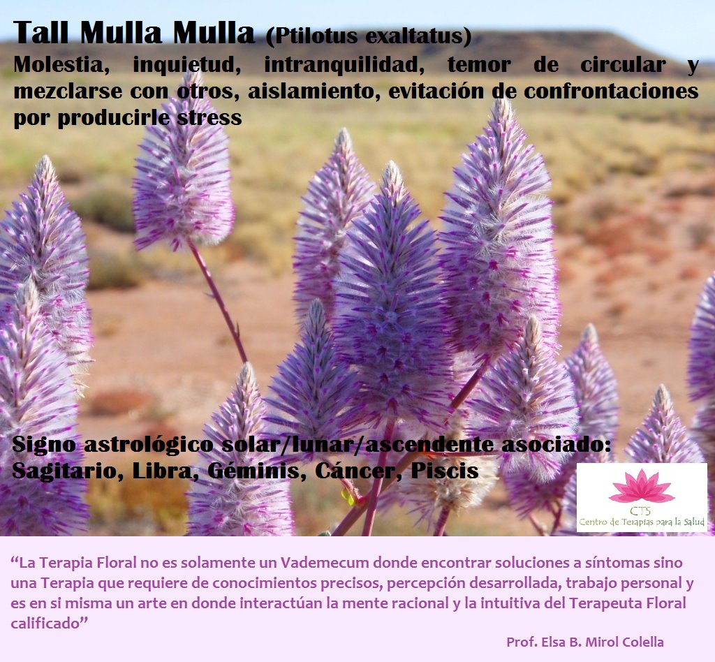CTS-CENTRO DE TERAPIAS PARA LA SALUD: FLORES DE BUSH Y ASTROLOGIA: TALL ...
