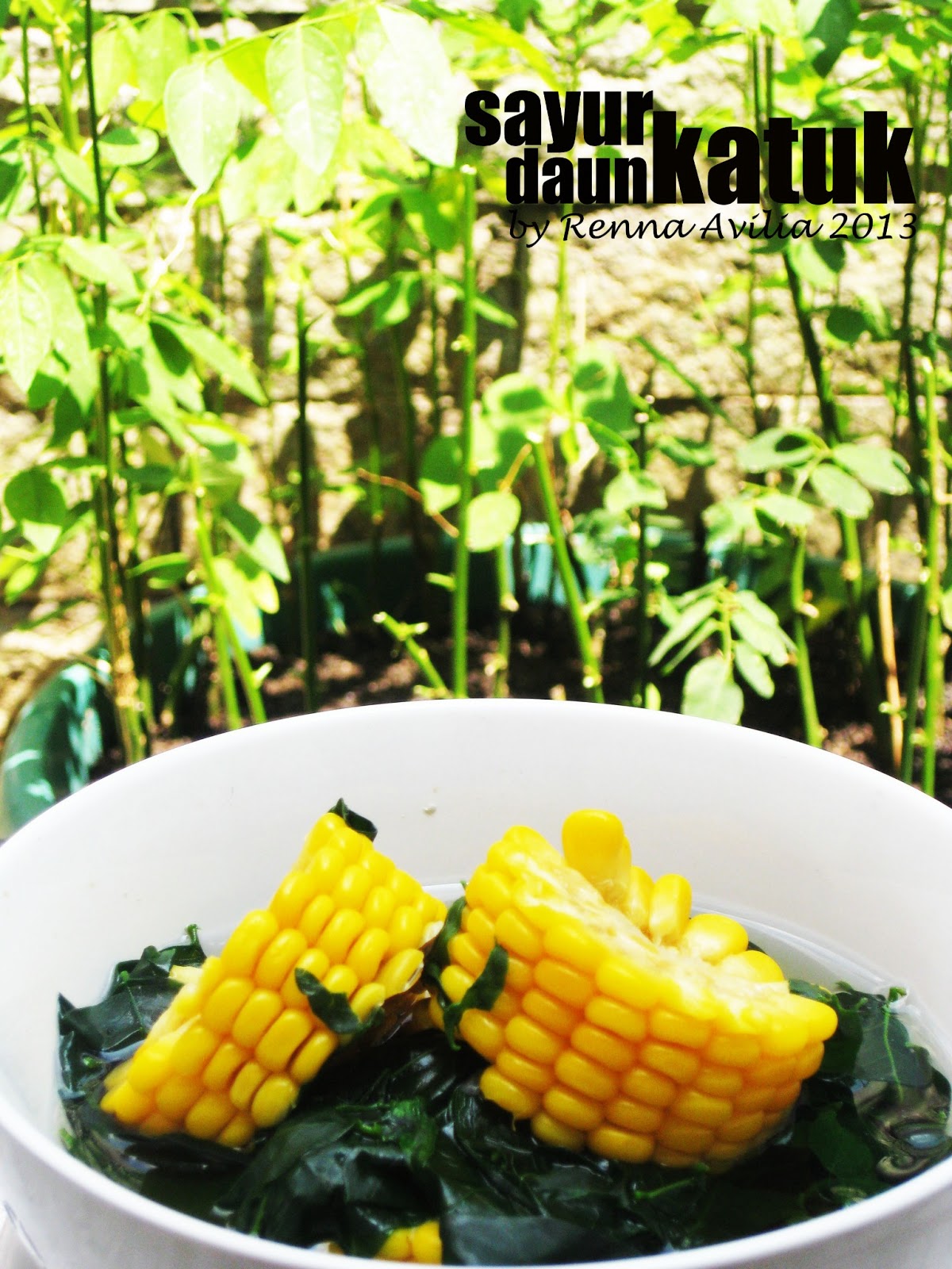 renvilia*: Sayur Daun Katuk