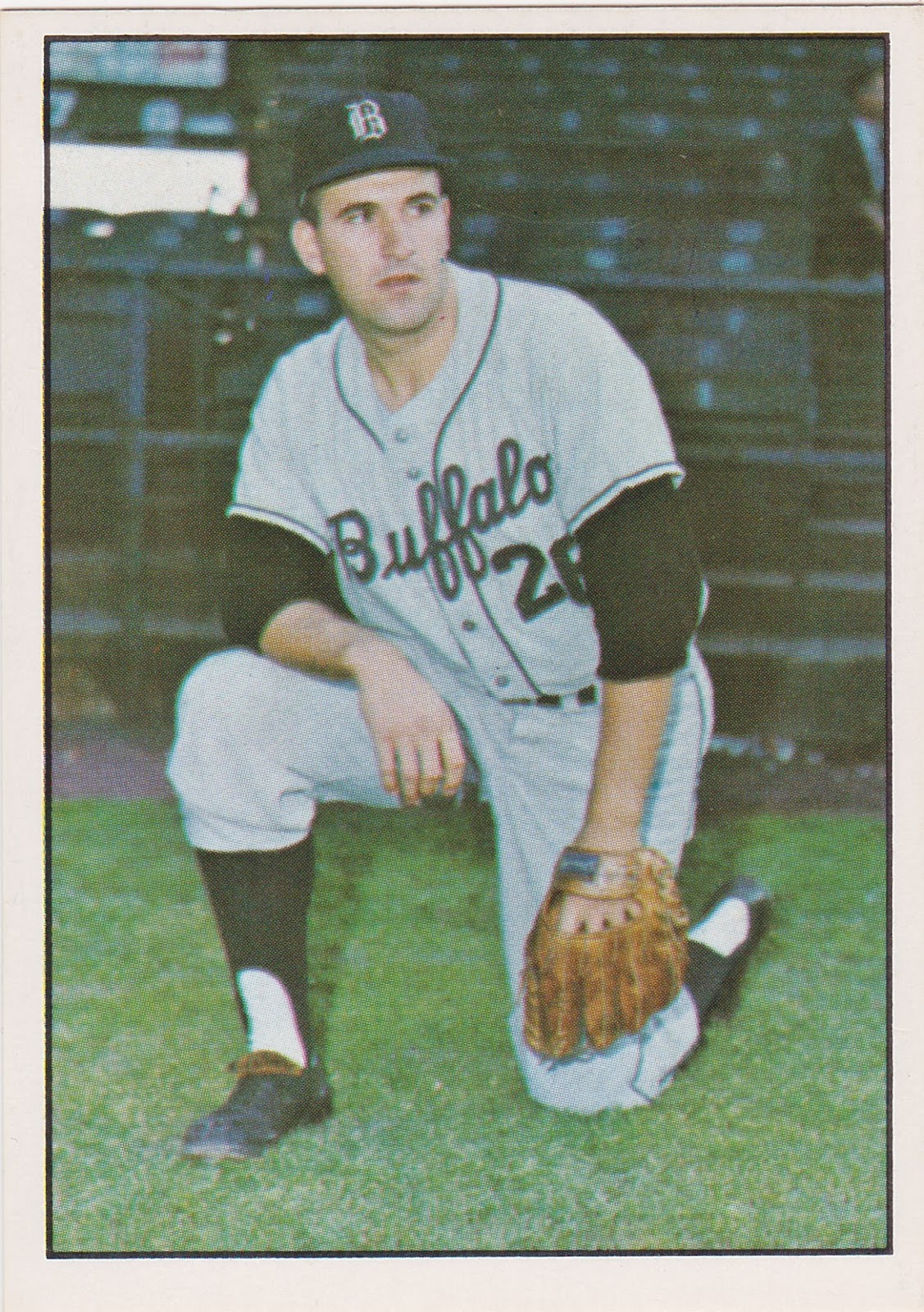 The Five Tool Collector: TCMA The 60s Set Series II Minor League subset